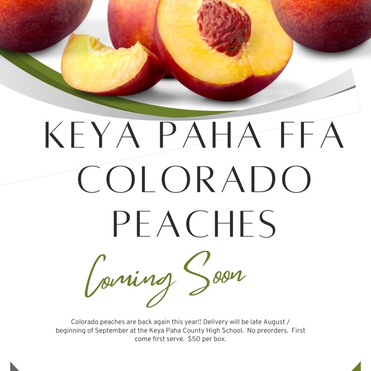 Live Feed | Keya Paha County Schools